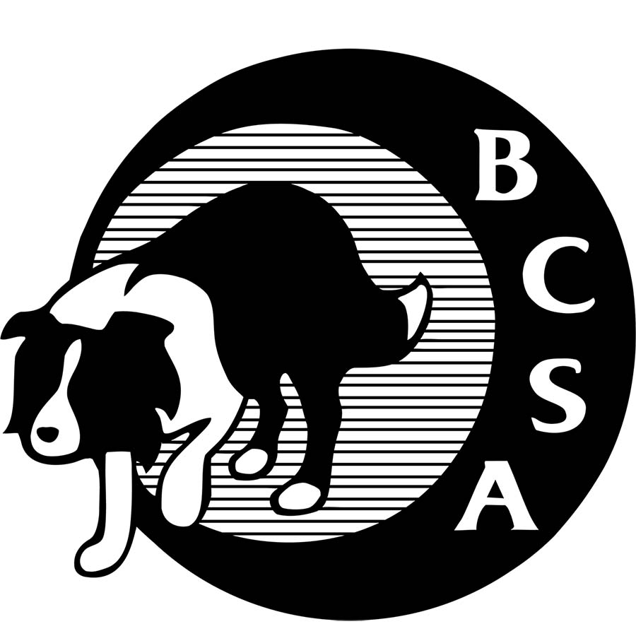 Border Collie Society of America